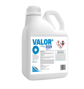 Valor 250 EC – fungicyd Synthos AGRO, etykieta, dawkowanie, stosowanie ...