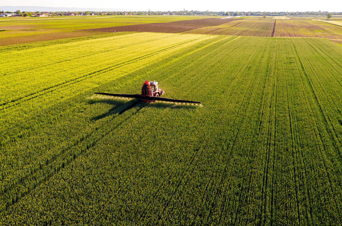 Podział fungicydów — klasyfikacja, rodzaje i zakres stosowania - PROCAM ...